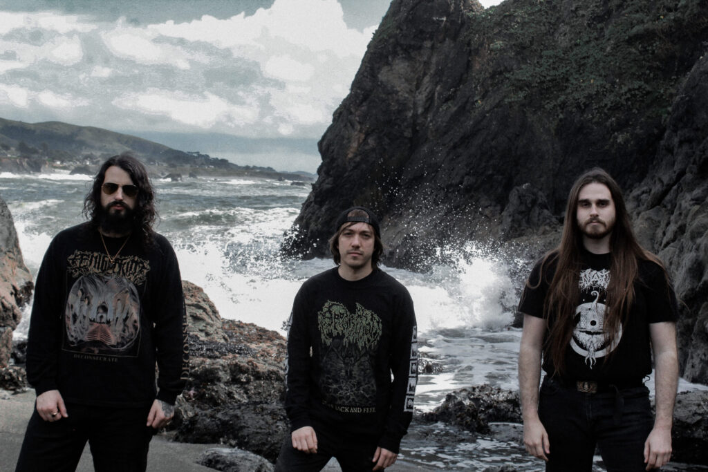 VILE RITES: No Clean Singing Premieres â Senescentâ From Progressive ...